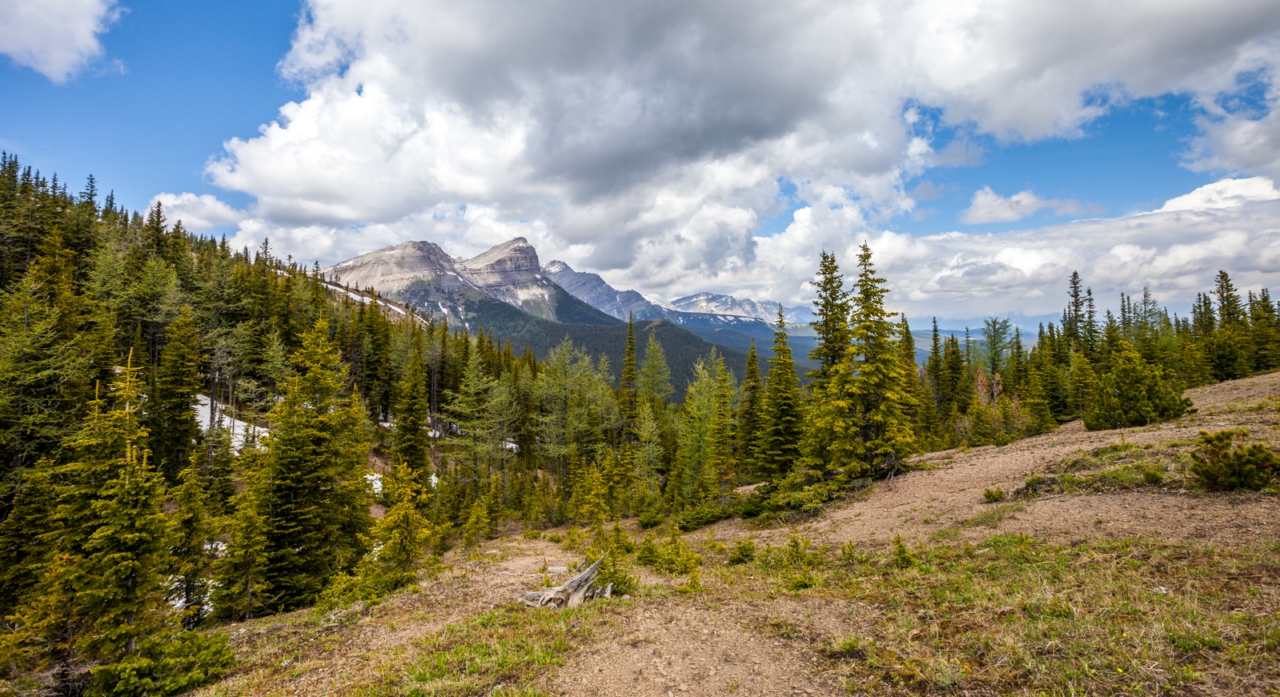 Faire la traversée des Rocheuses via le Great Divide Trail (récit)