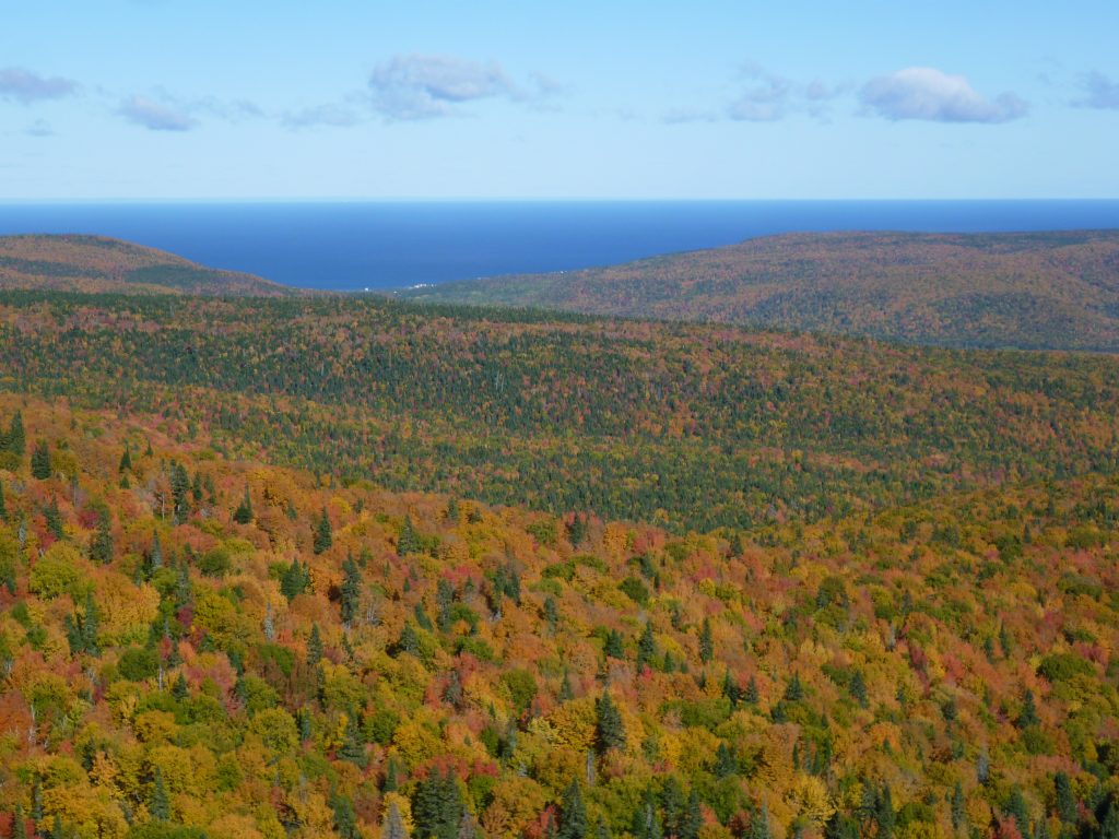 Découverte de l'Acadie (Provinces Maritimes) au Canada