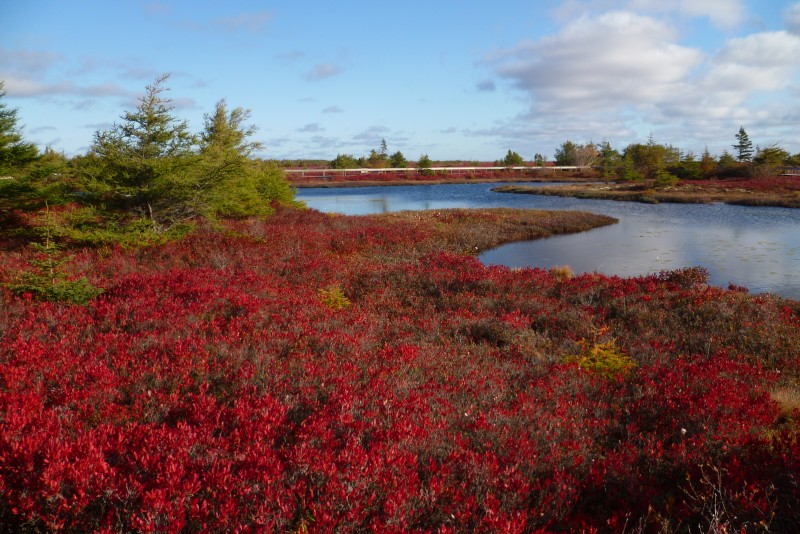 Découverte de l'Acadie (Provinces Maritimes) au Canada