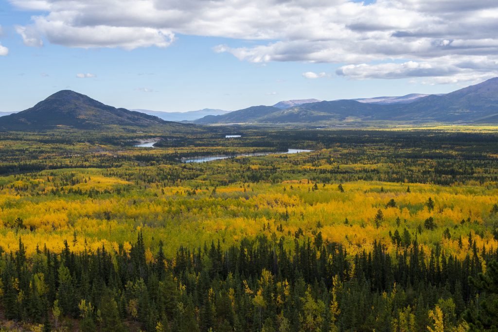 Explorer le Yukon, territoire sauvage du Canada - pvtistes.net