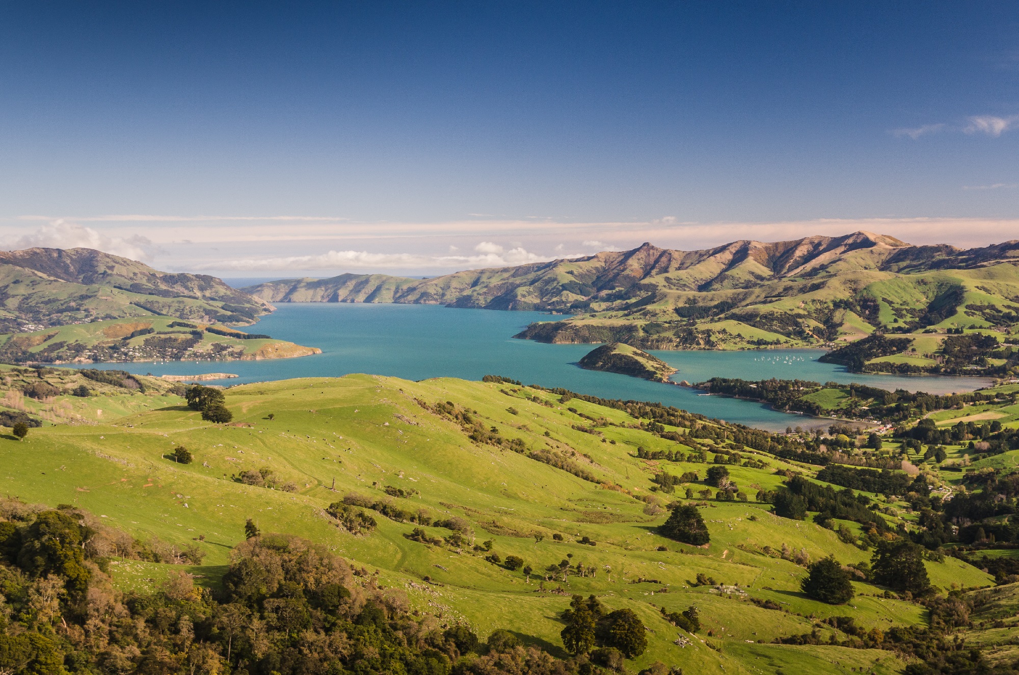 Where should you start your New Zealand Working Holiday Visa?